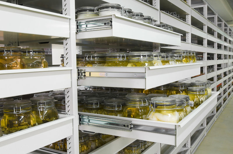 Nikhil Equipments- Products